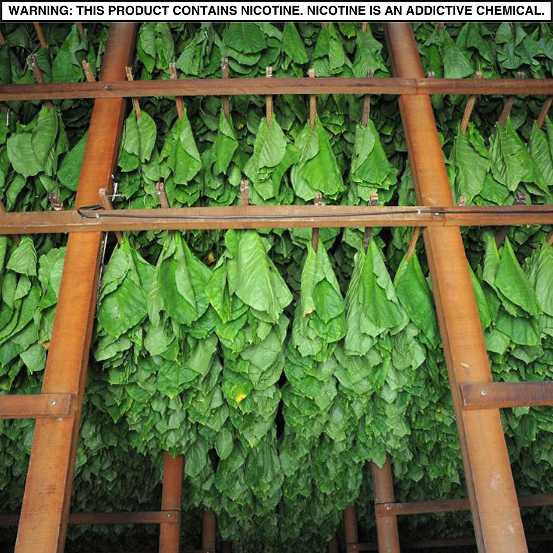 Al Capone Cigarillos: Embodying Authenticity and Craftsmanship - InkedMag